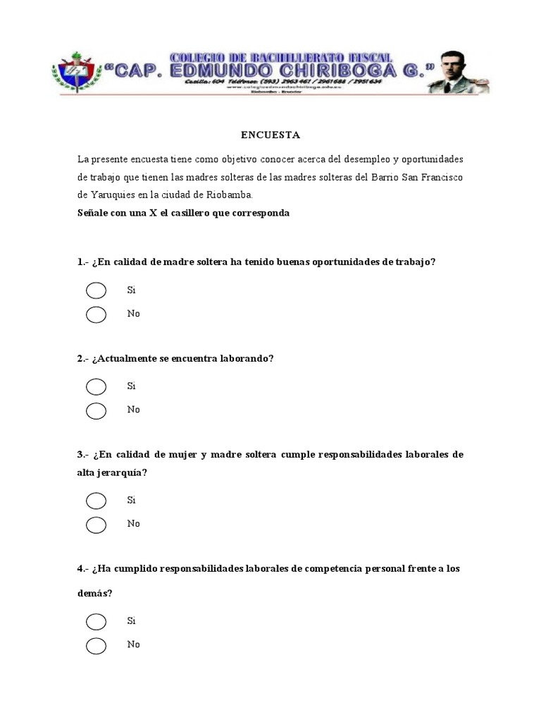 Encuesta Colegio | PDF