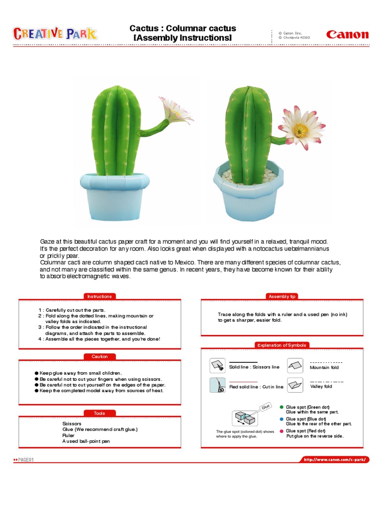 Cactus Con Flor - Papercraft | PDF
