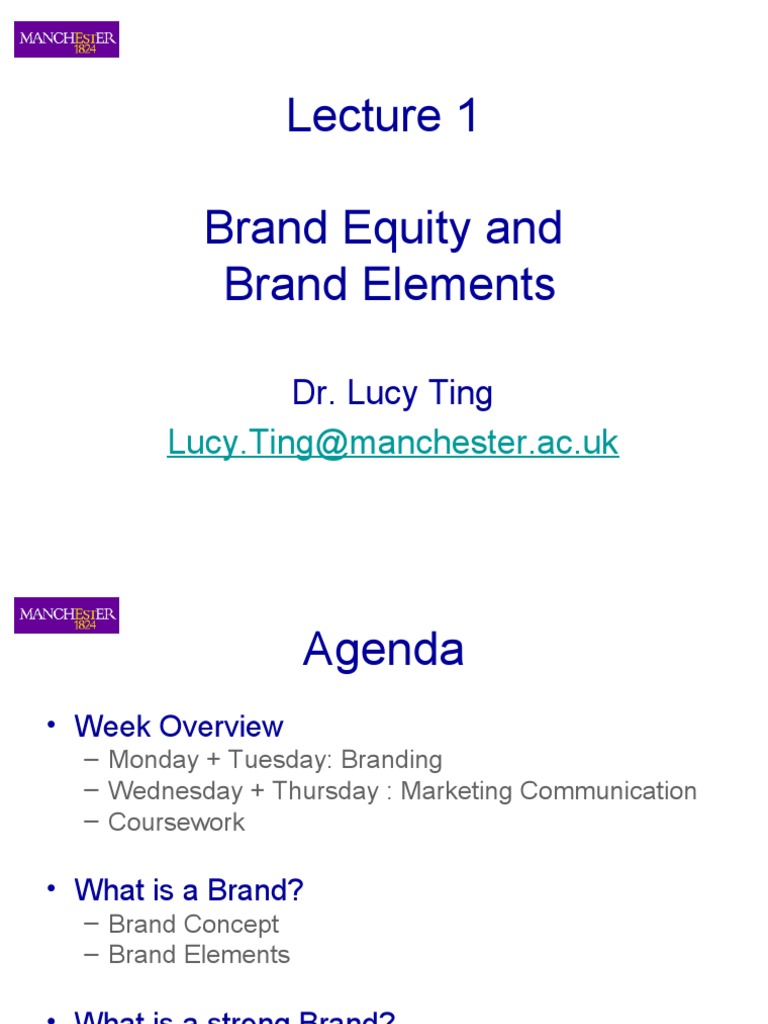 Brand Equity and Brand Elements: Lucy - Ting@manchester - Ac.uk | PDF ...