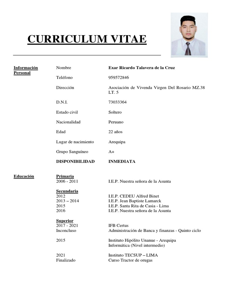 Curriculum Vitae Ricardo | PDF