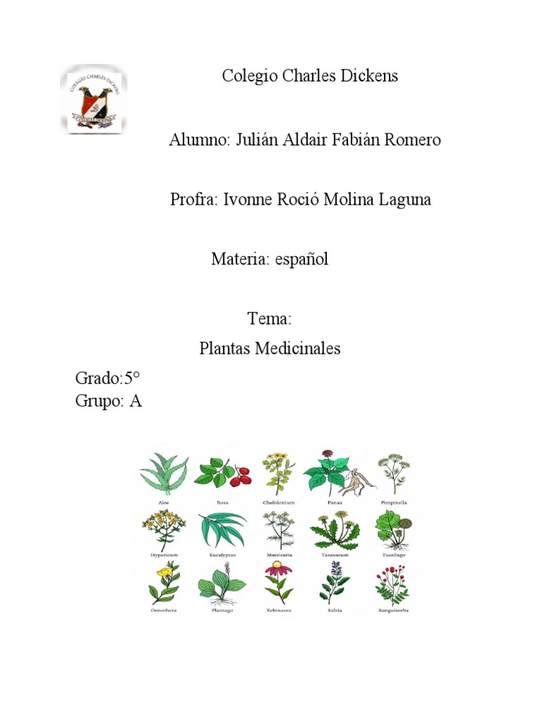Plantas Medicinales Pdf Plantas Medicinales Antiinflamatorio