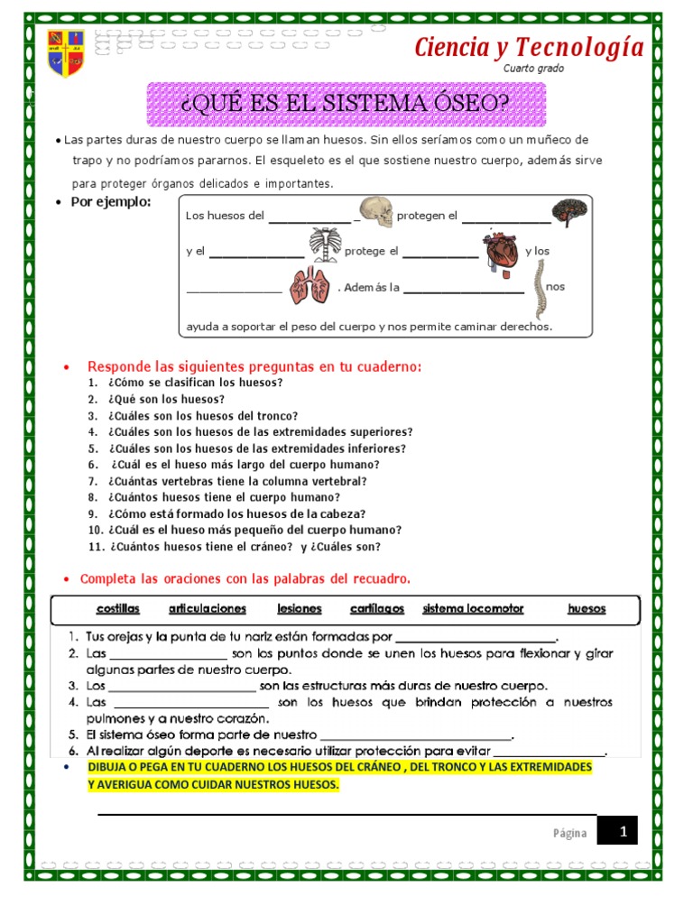 El Esqueleto Pdf Pdf Esqueleto Hueso