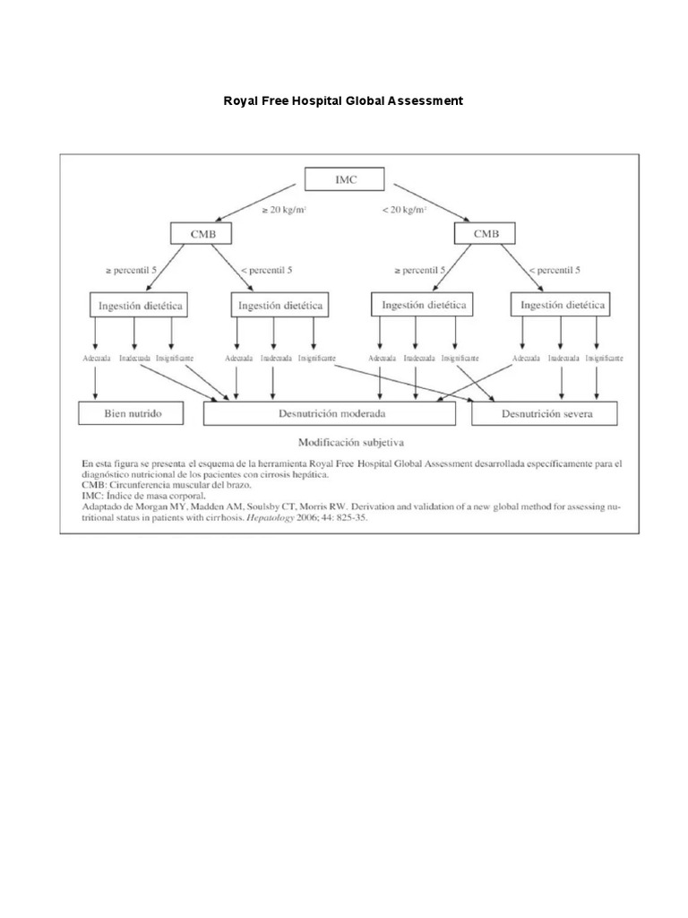 Royal Free Hospital Global Assessment | PDF