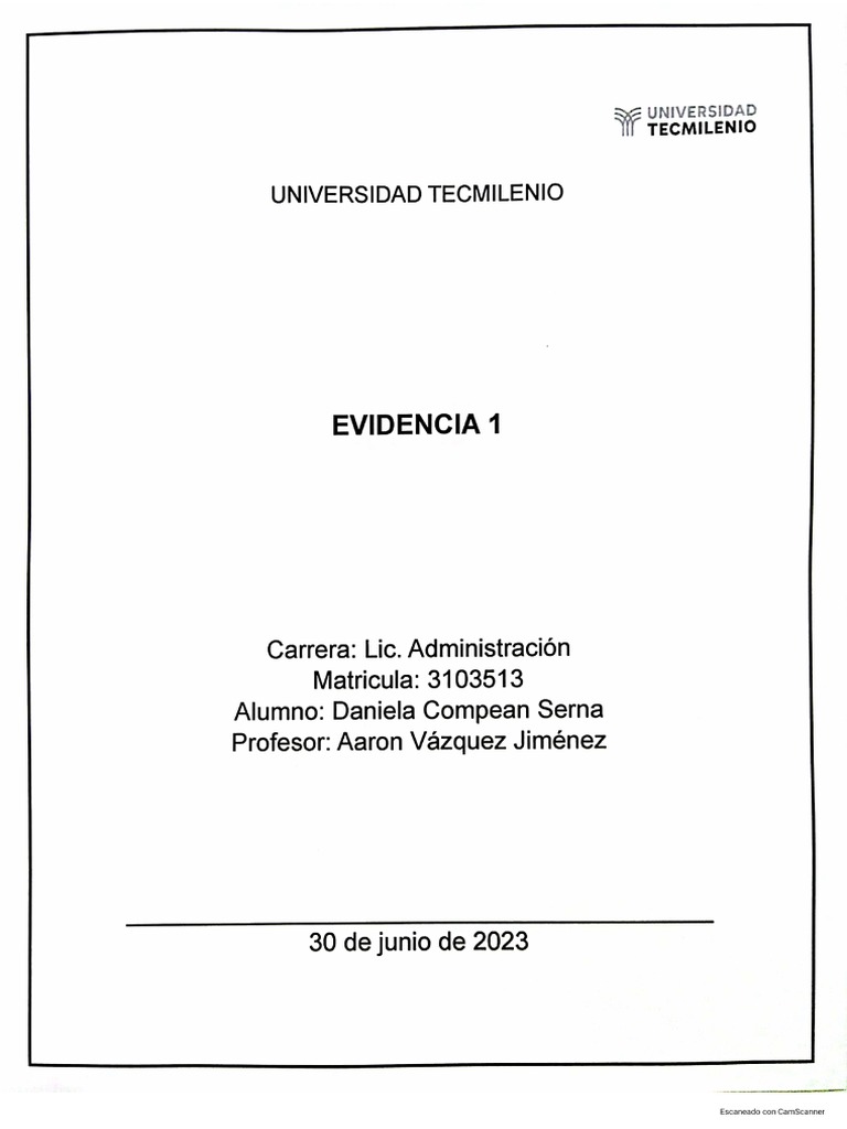 Evidencia1 Compeansernadaniela PLM | PDF