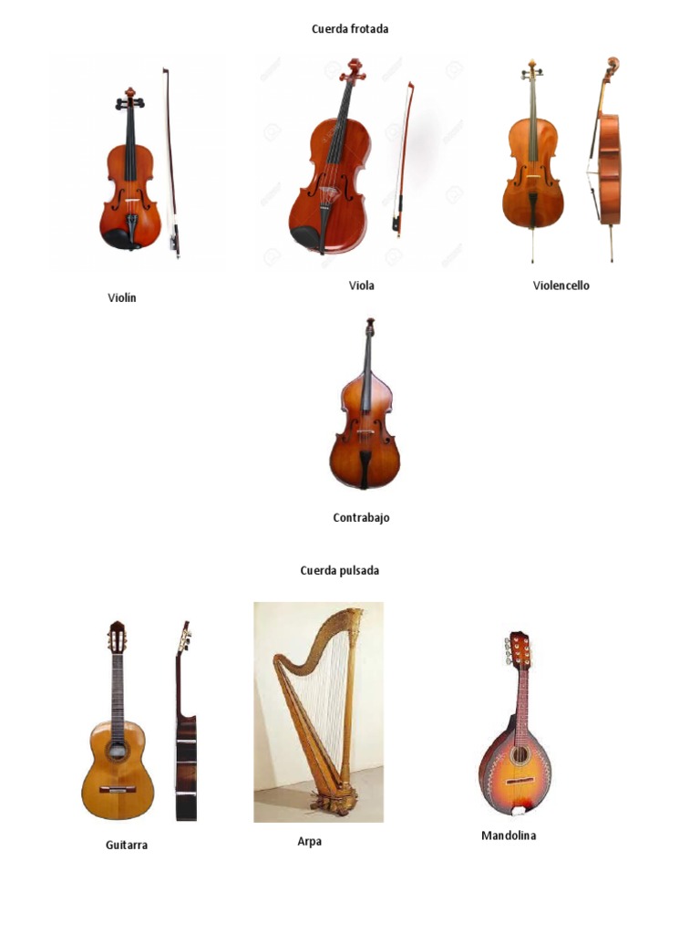Instrumentos de Cuerda: Tipos y Ejemplos | PDF