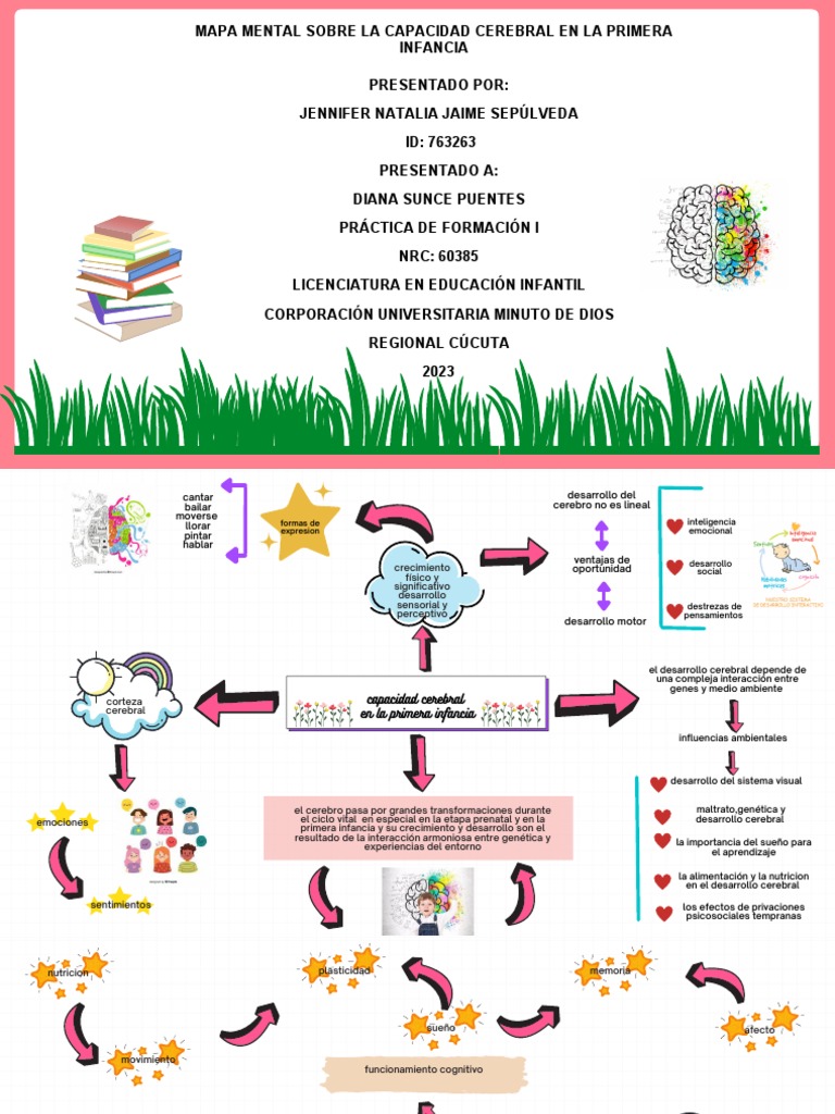 MAPA MENTAL SOBRE LA CAPACIDAD CEREBRAL EN LA PRIMERA INFANCIA | PDF | Cerebro | Las emociones