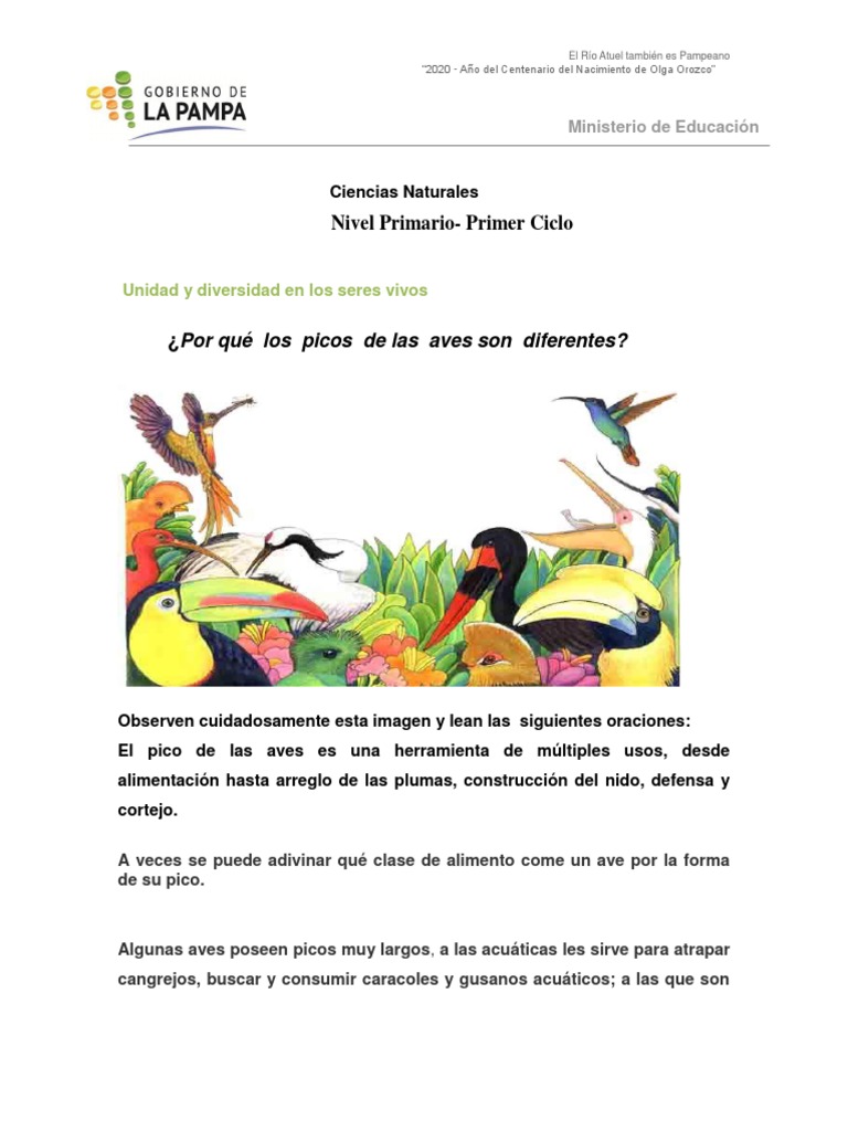 CienciasNaturales - Gobierno de La Pampa | PDF | Aves