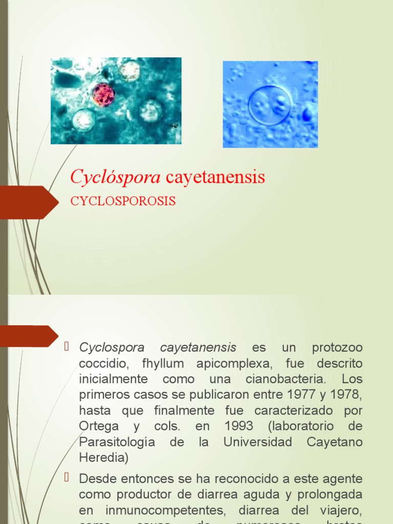 Tratamiento Natural de Cyclospora | PDF | Especialidades Medicas | Medicina