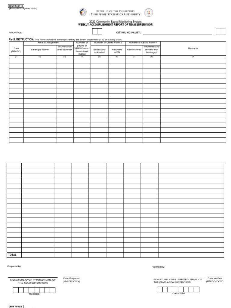 CBMS Form 12 - Weekly Accomplishment Report of Team Supervisor ...