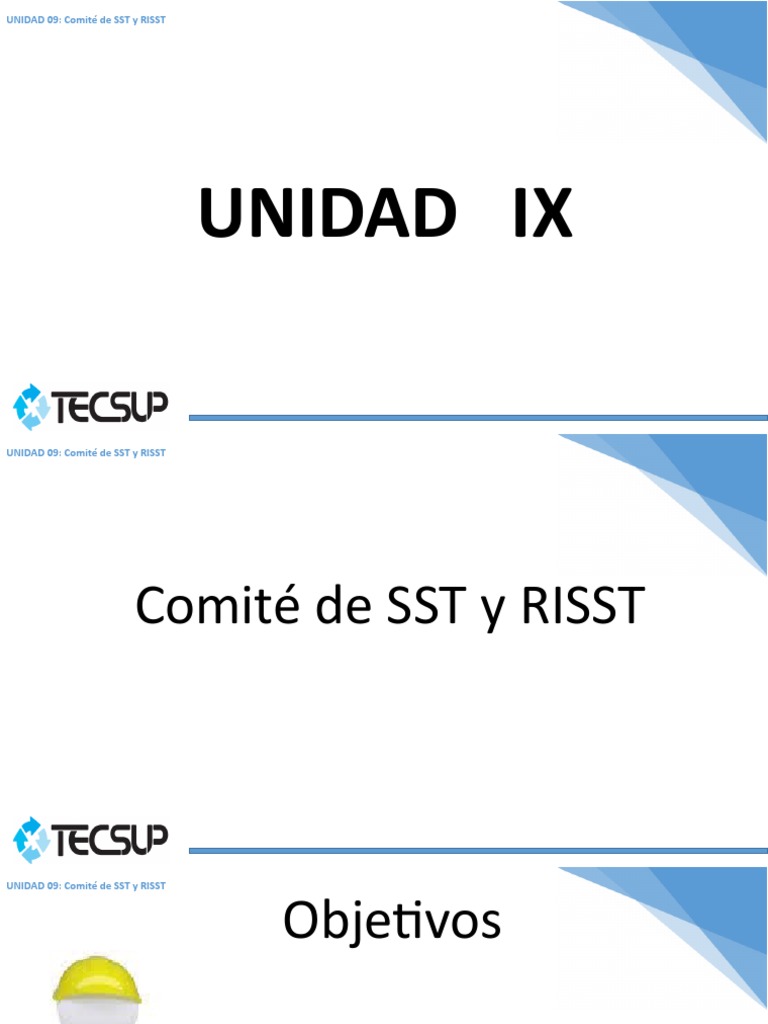 Modulo 09 Comite de SST y RISST-1 | PDF | Elecciones | Responsabilidad