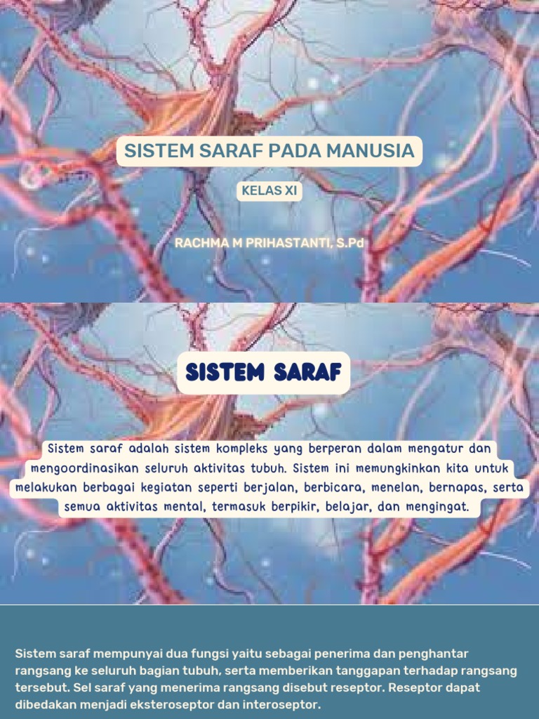 Sistem Saraf 1 | PDF | Pengembangan Diri