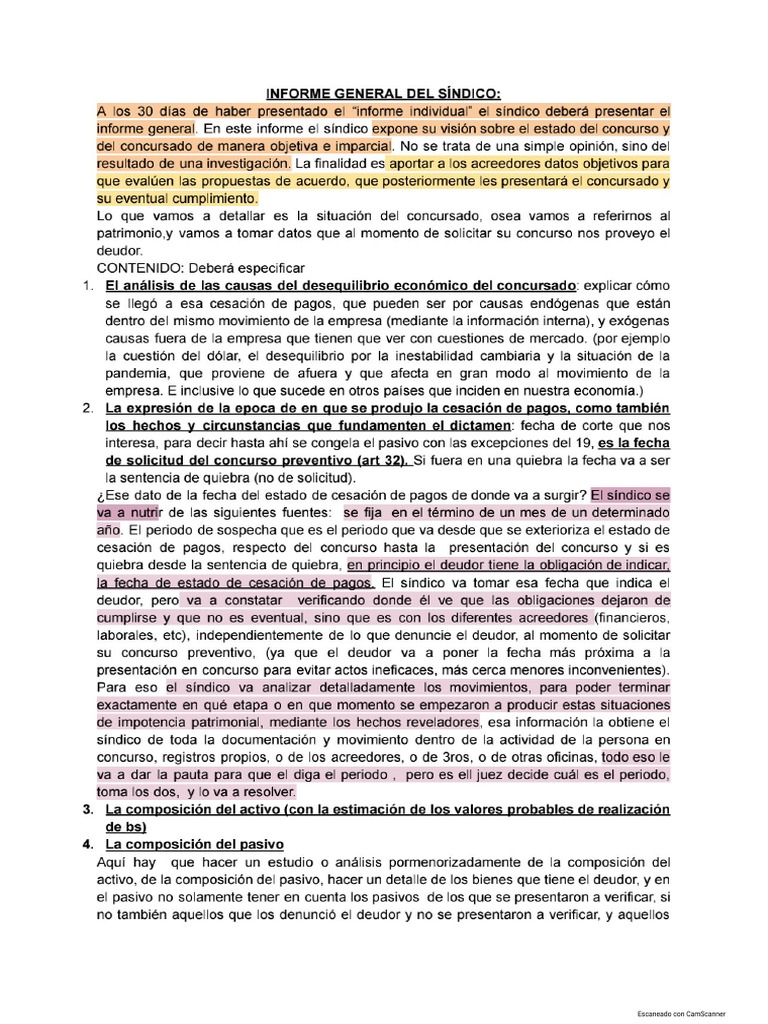 Informe General Del Síndico | PDF