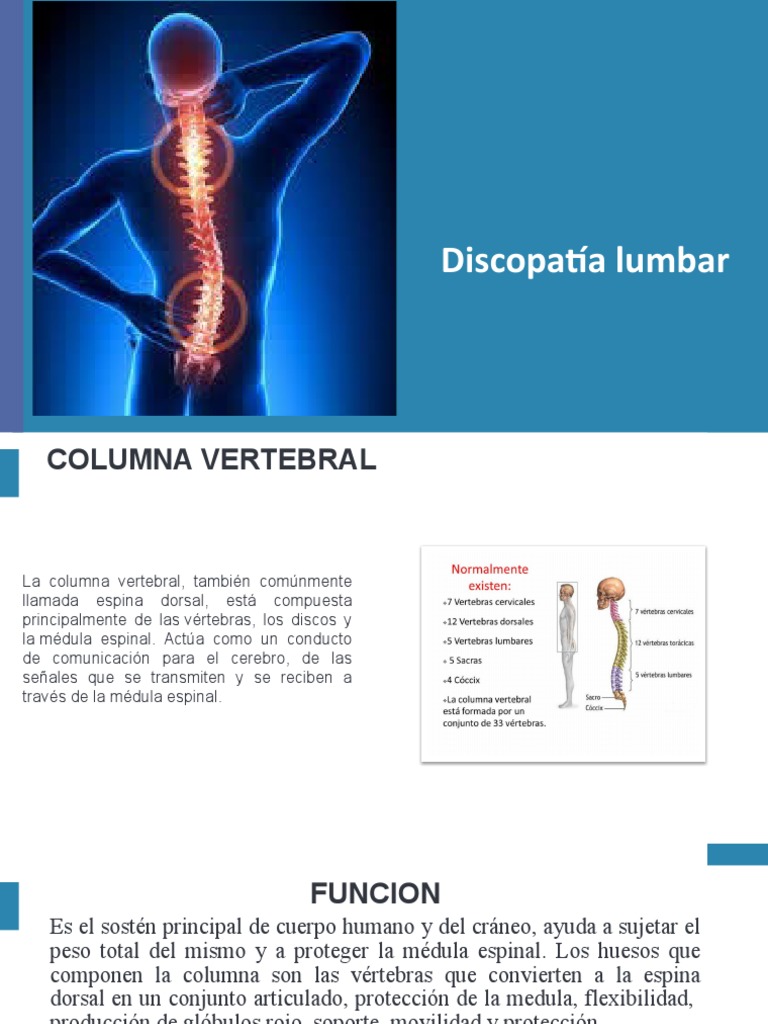 Discopatía lumbar: causas y síntomas | PDF | La columna vertebral ...