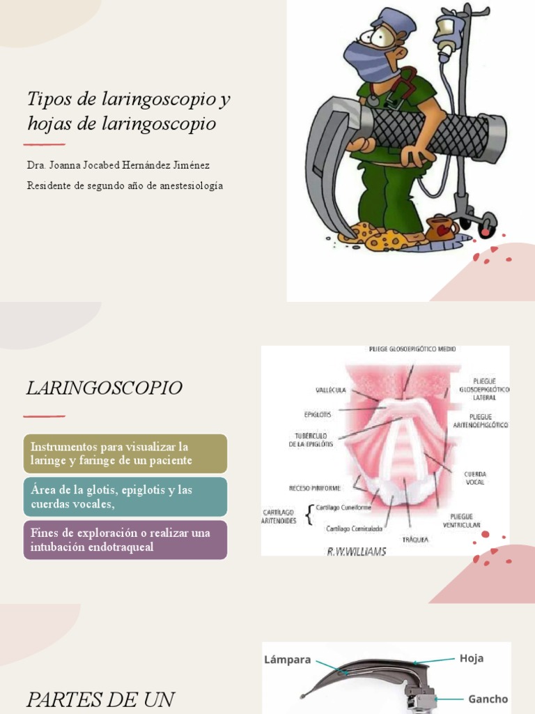 Tipos de Laringoscopio y Hojas de Laringoscopio | PDF | Anatomía ...