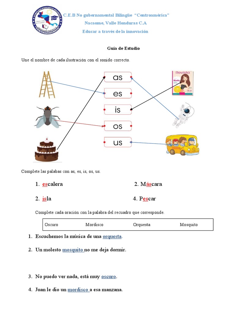Guía de Español Primer Grado | PDF