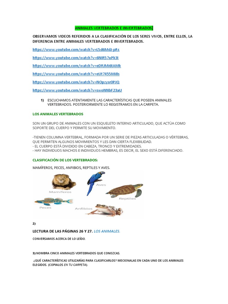 Animales Vertebrados e Invertebrados | PDF | Vertebrados | Esqueleto