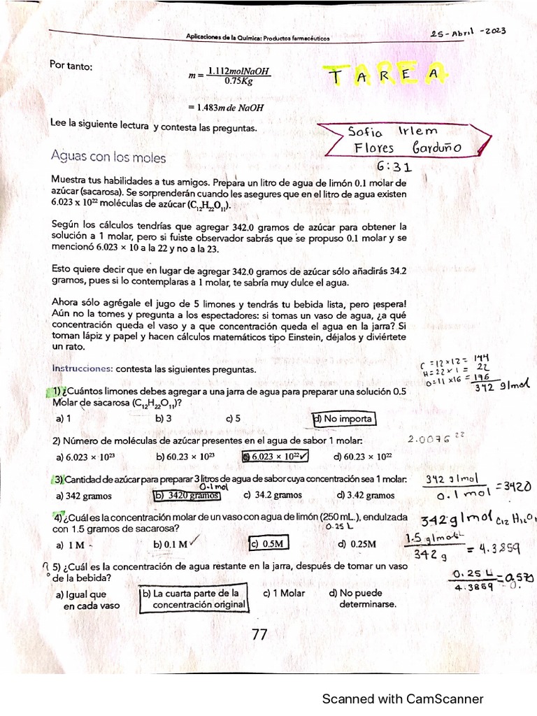 Pag 77 Ejercicios Pdf