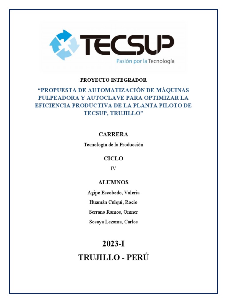 Proyecto Integrador | PDF