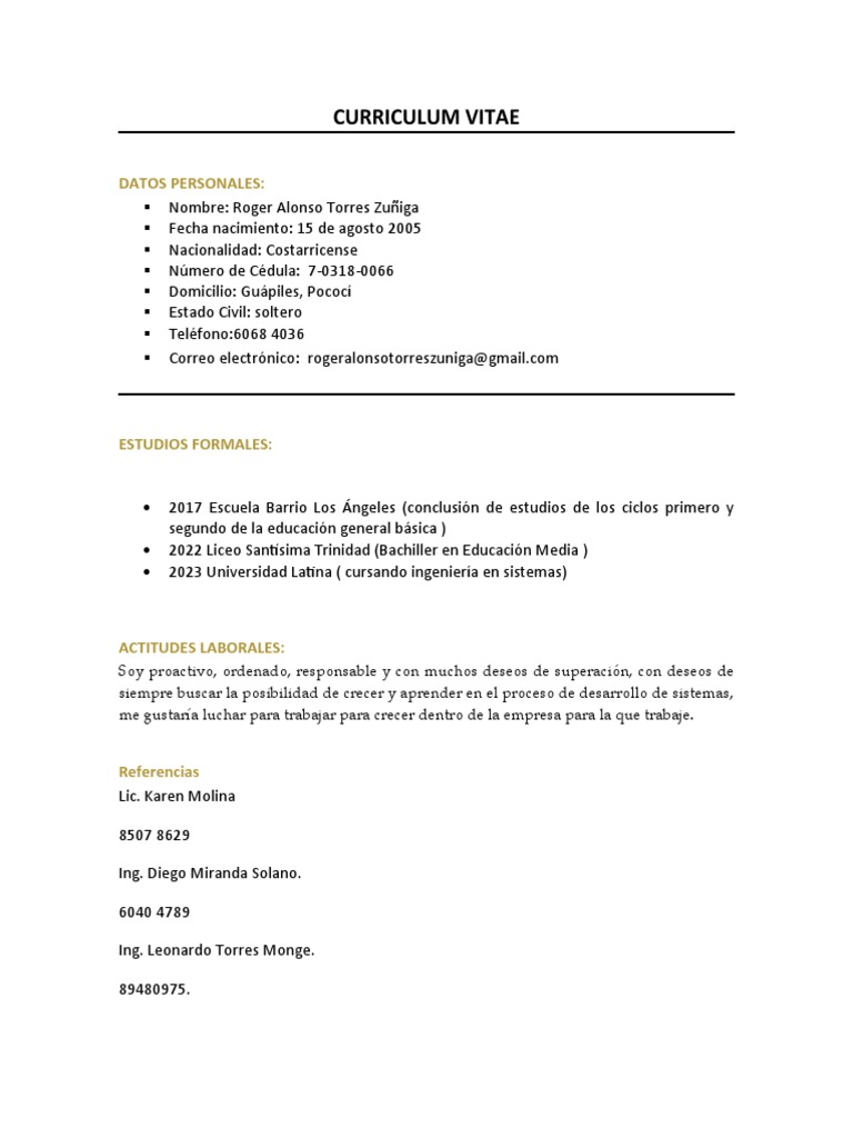 Curriculum Roger Torres | PDF