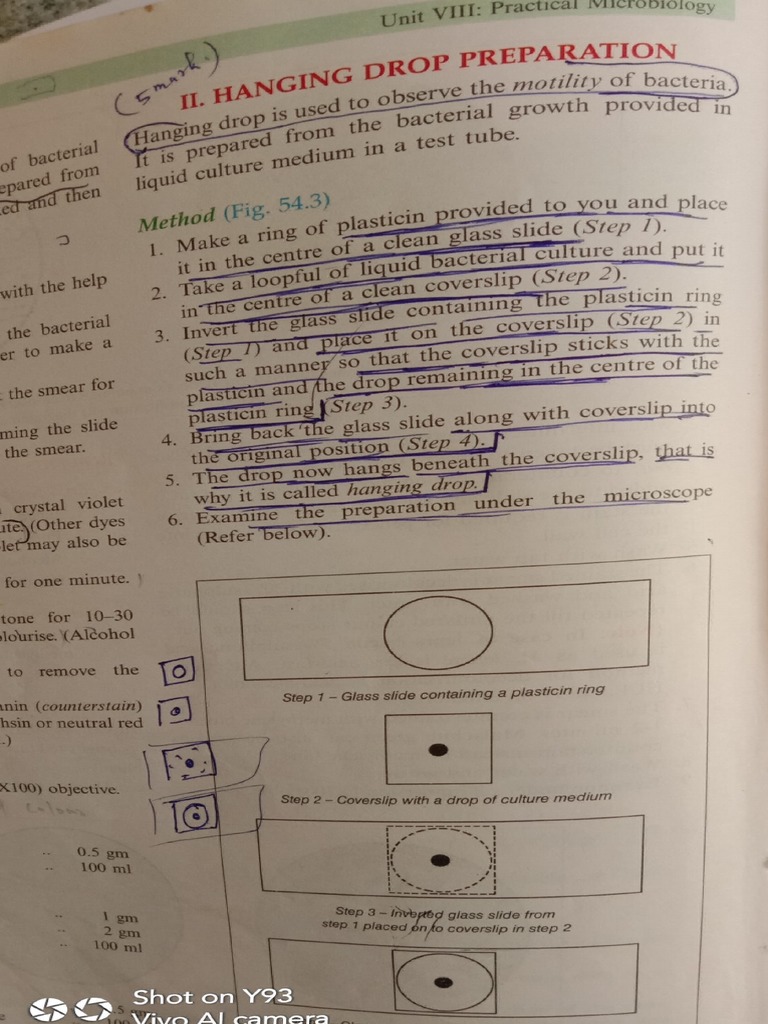 Hanging Drop Preparation | PDF | Chemistry | Laboratory Techniques
