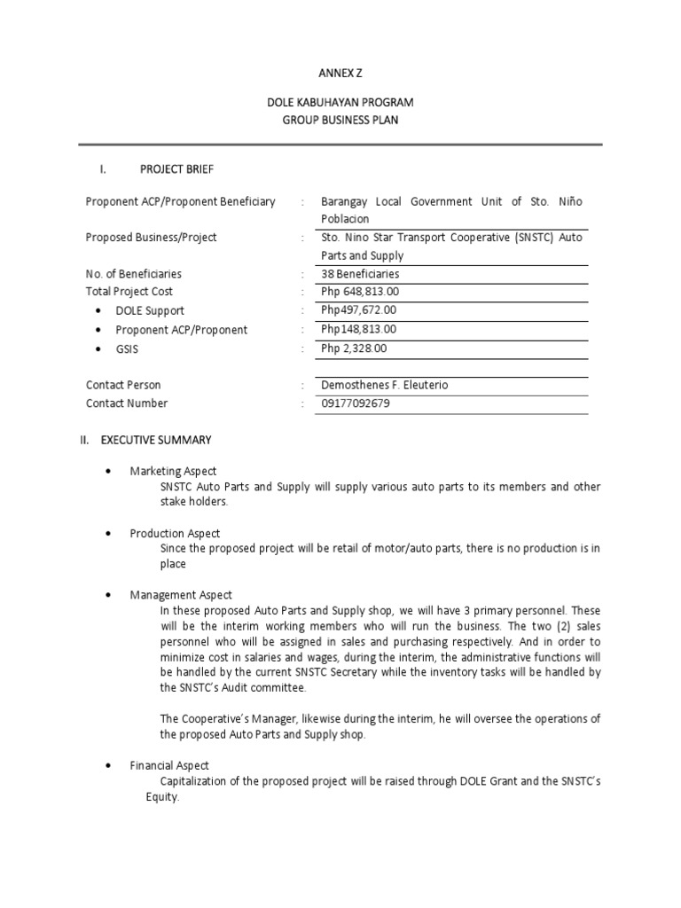 Sto. Nino Auto Parts Business Plan | PDF | Equity (Finance) | Cash Flow ...