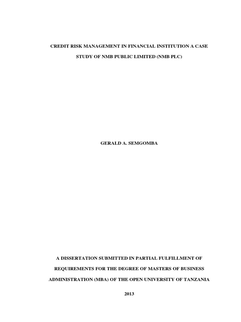 Dissertation Final - Gerald Sengomba | PDF | Financial Risk | Banks