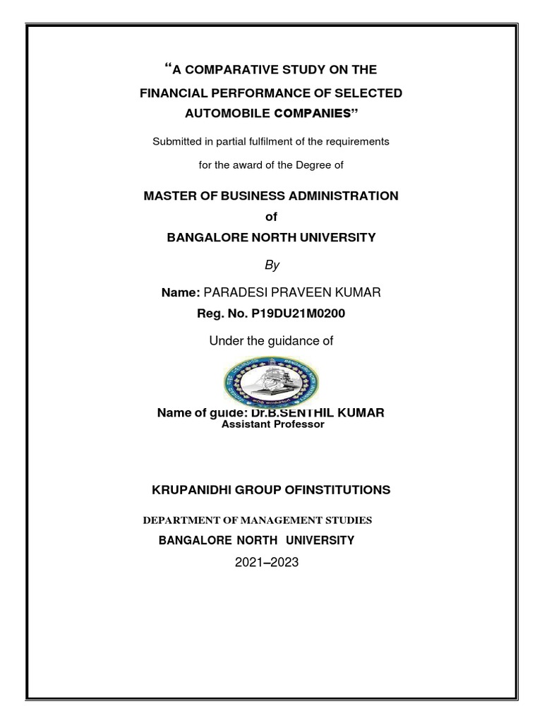 Praveen Kumar Project | PDF | Income Statement | Balance Sheet