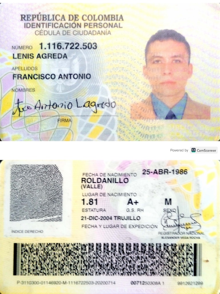 Cédula de Francisco | PDF