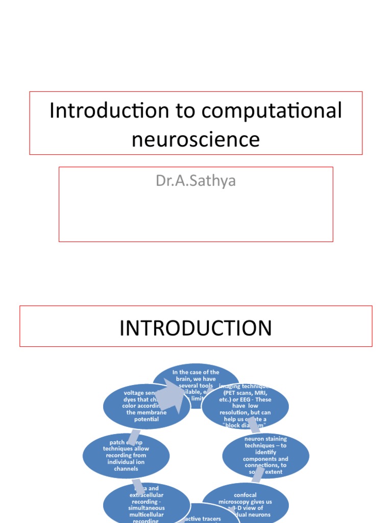 Introduction To Computational Neuroscience | PDF | Brain ...