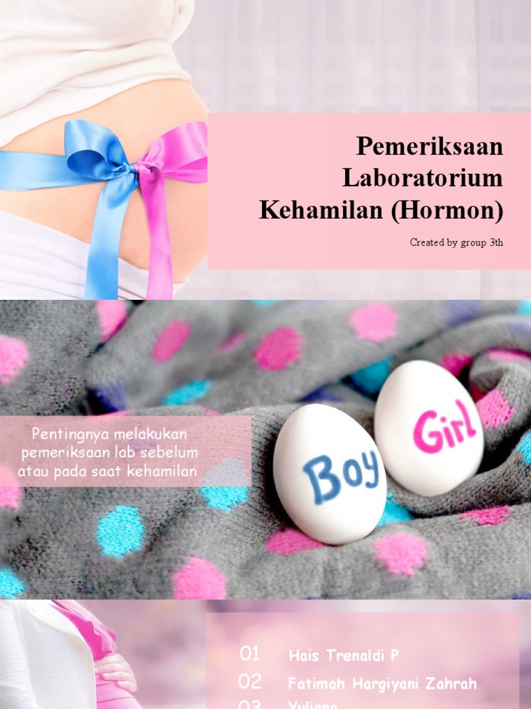 Idl Kelompok 3 Data Kehamilan (Hormon) | PDF | Pengembangan Diri | Kesehatan Holistik