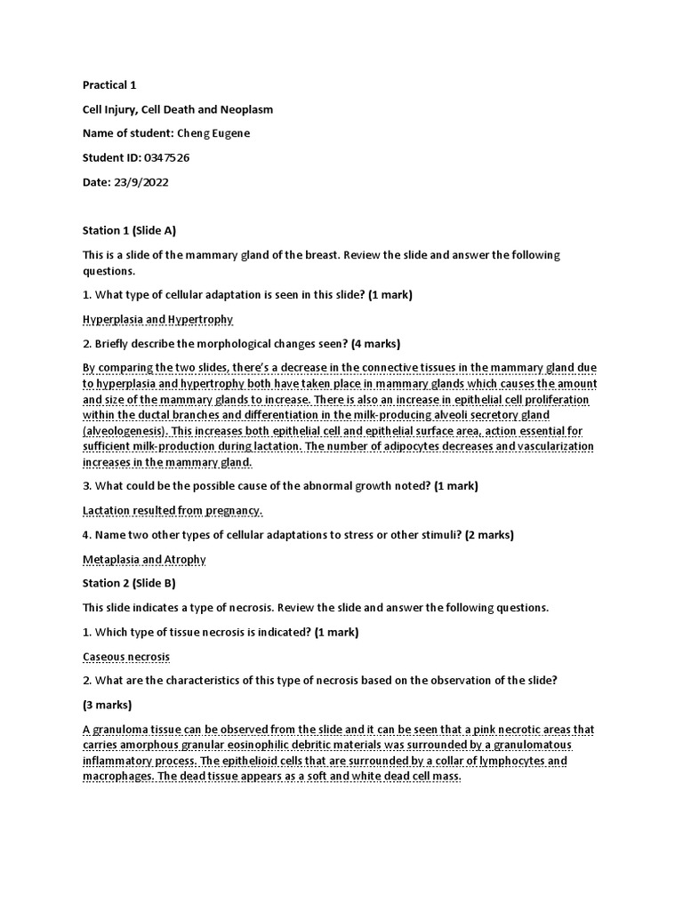 Human Patho Practical 1 Worksheet Pdf Inflammation Necrosis 7402