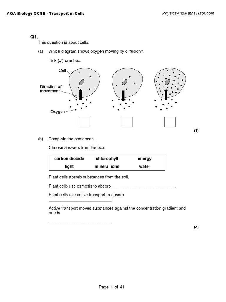 1.3 Transport in Cells QP | PDF | Biology | Diffusion