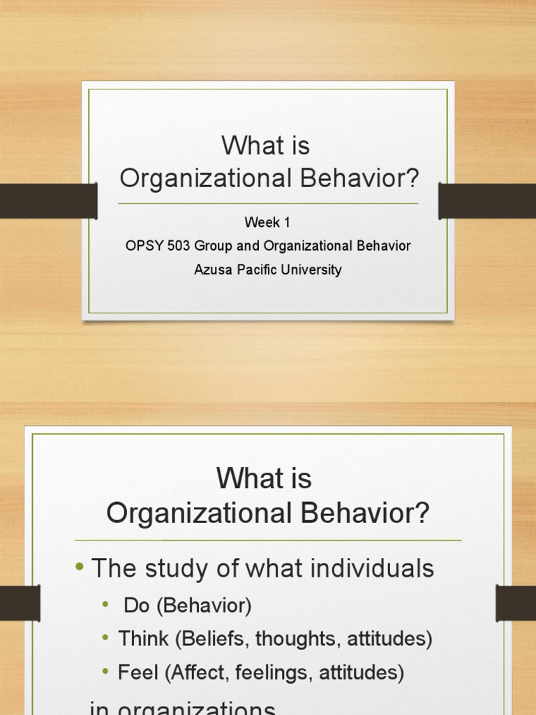 What Is Organizational Behavior | PDF