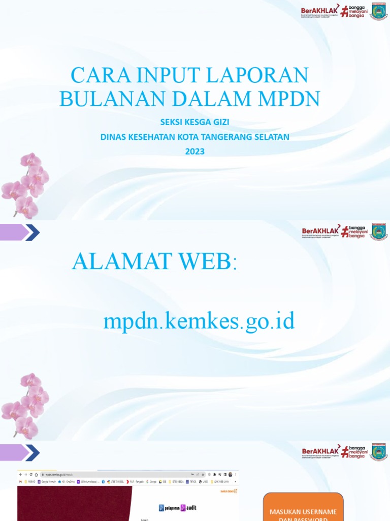 Cara Input Laporan Bulanan Di Mpdn | PDF