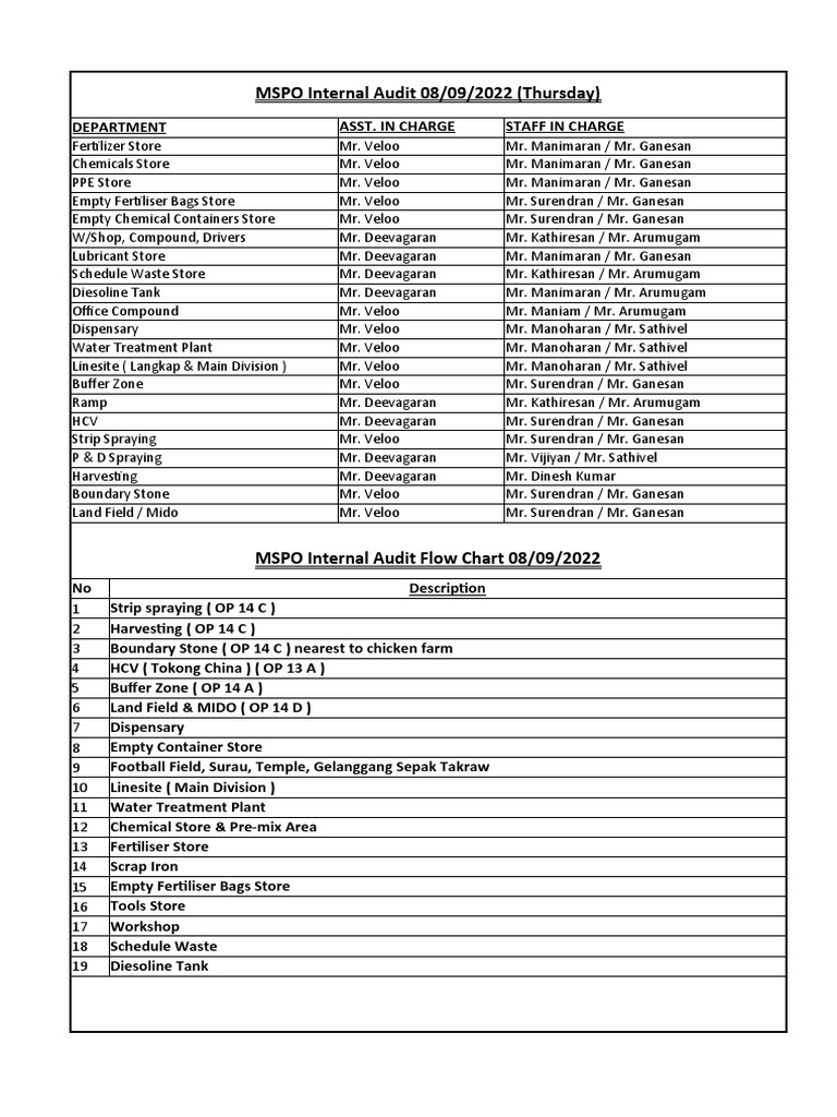 Audit Flowchart Pdf 0310