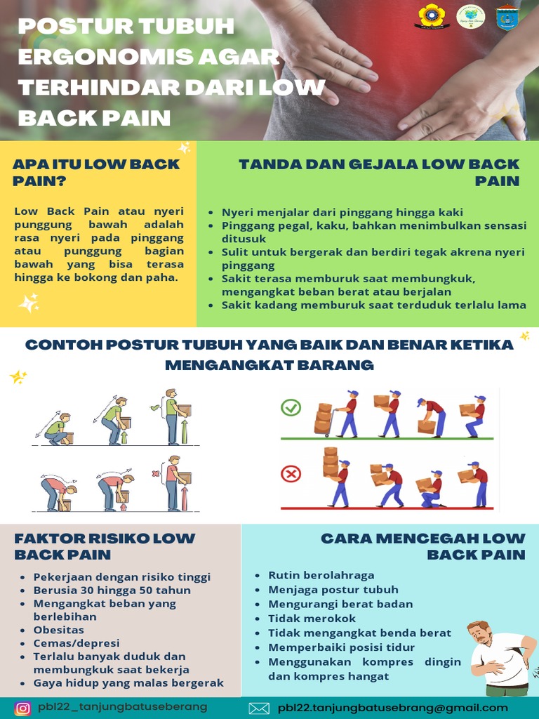 Poster Low Back Pain | PDF