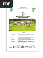 Plan Maroc Vert : Enjeux et Perspectives | PDF | Maroc | Agriculture