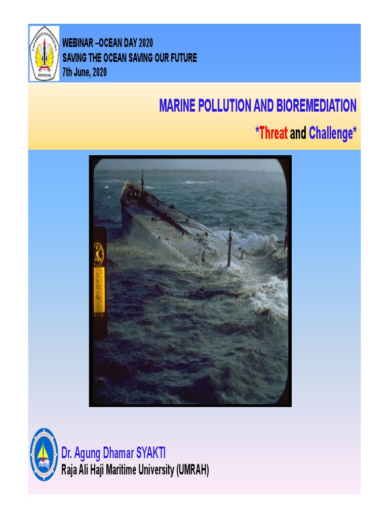 Marine Pollution: Threats and Solutions | PDF | Waste | Oceans