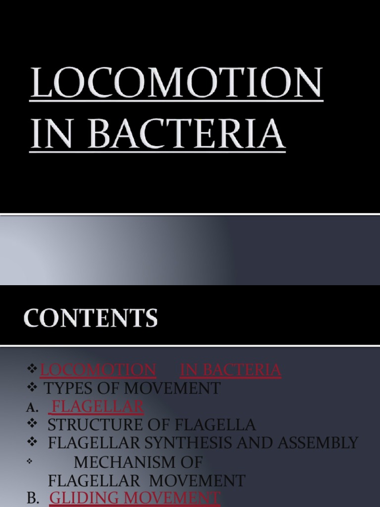 Bacterial Locomotion Mechanisms | PDF | Cell (Biology) | Bacteria