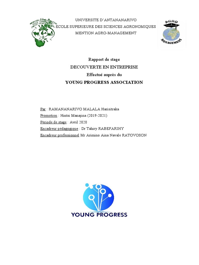 Rapport de Stage RAMANANARIVO MALALA Harisitraka | PDF | Programme ...