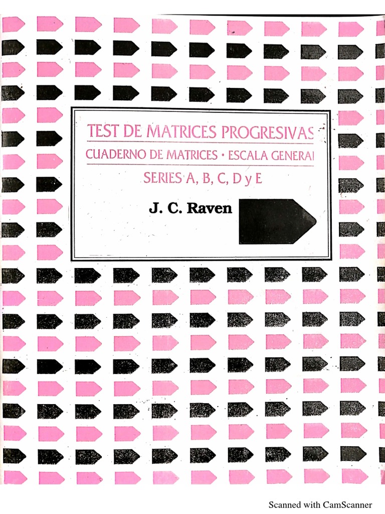 Cuaderno de Matrices. Prueba Raven | PDF