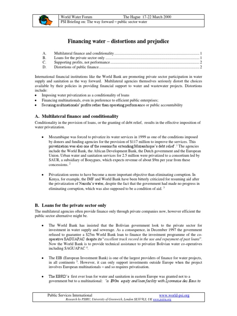 Water Finance: Privatization Issues | PDF | Privatization | World Bank