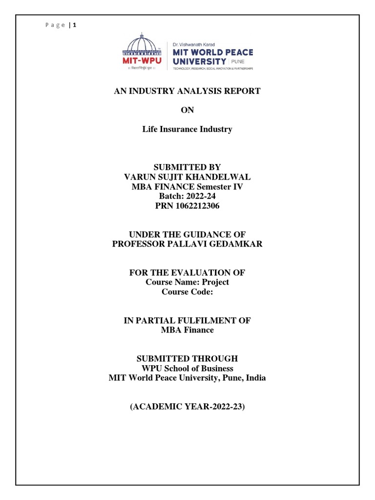 Industrial Analysis Pdf Insurance Economies