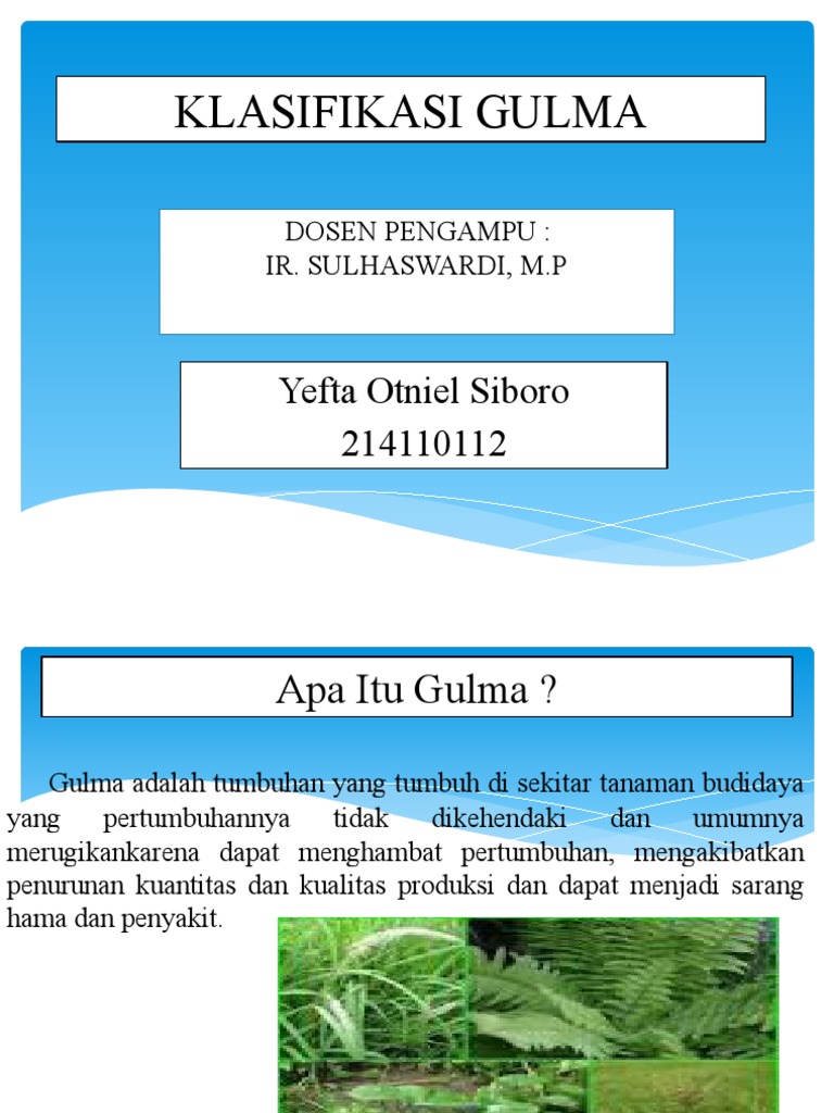 KlasifikasiGulma Yefta | PDF