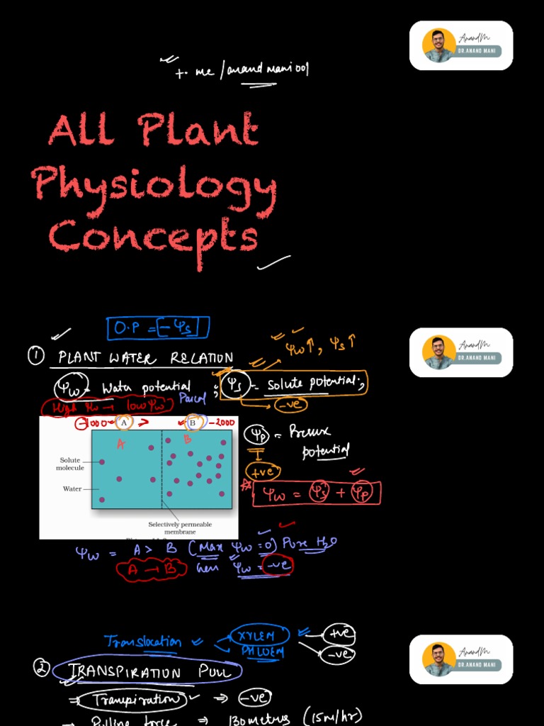 All Plant Physiology Concepts Pdf Download Free Pdf Cellular