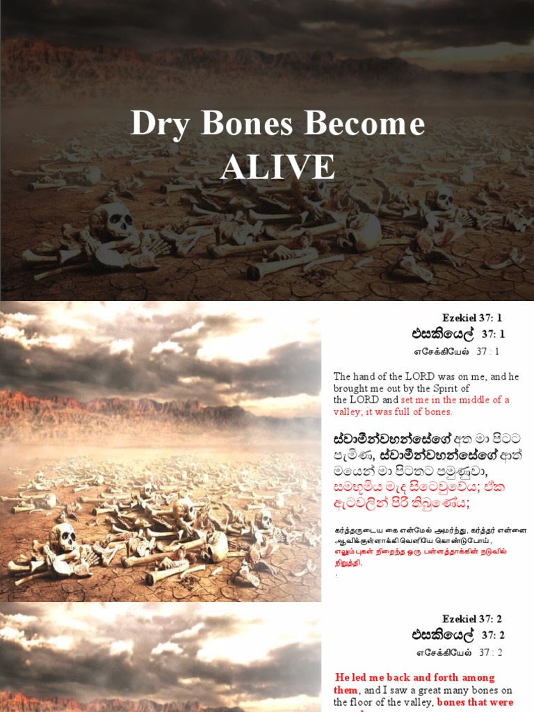Dry Bones Becoming Alive | PDF