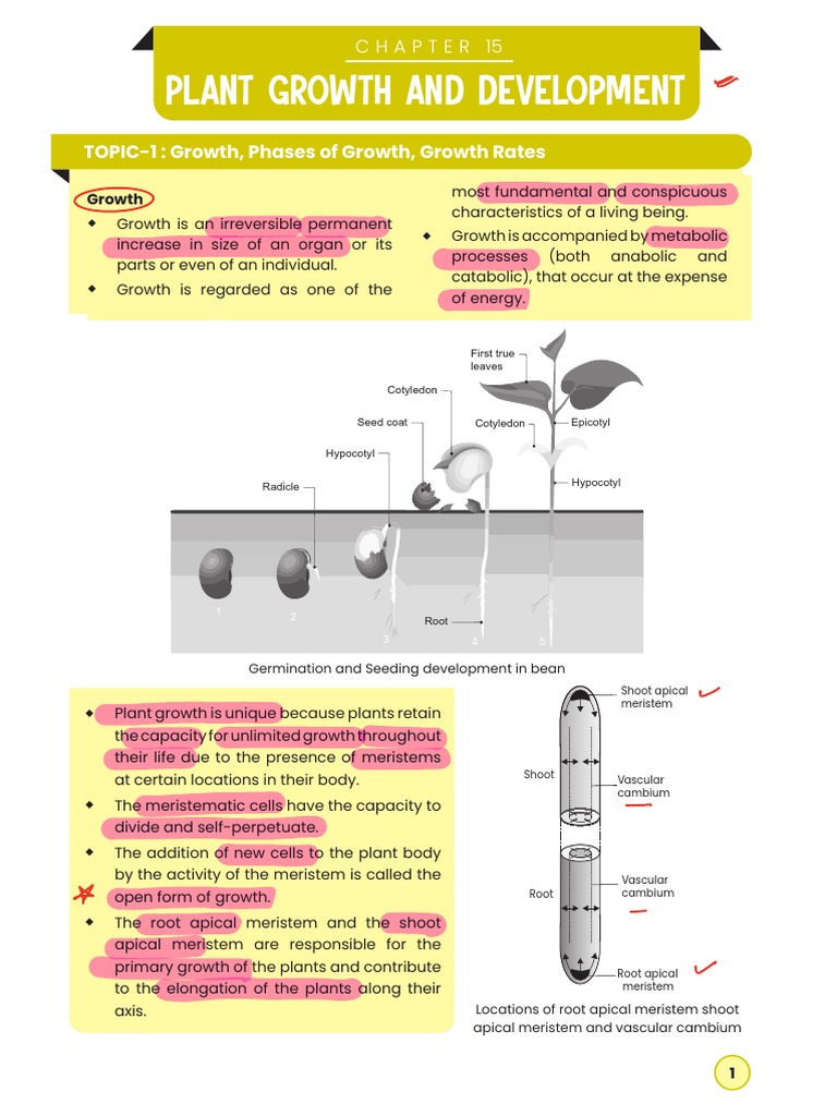 Plant Growth and Development | PDF | Plant Hormone | Auxin
