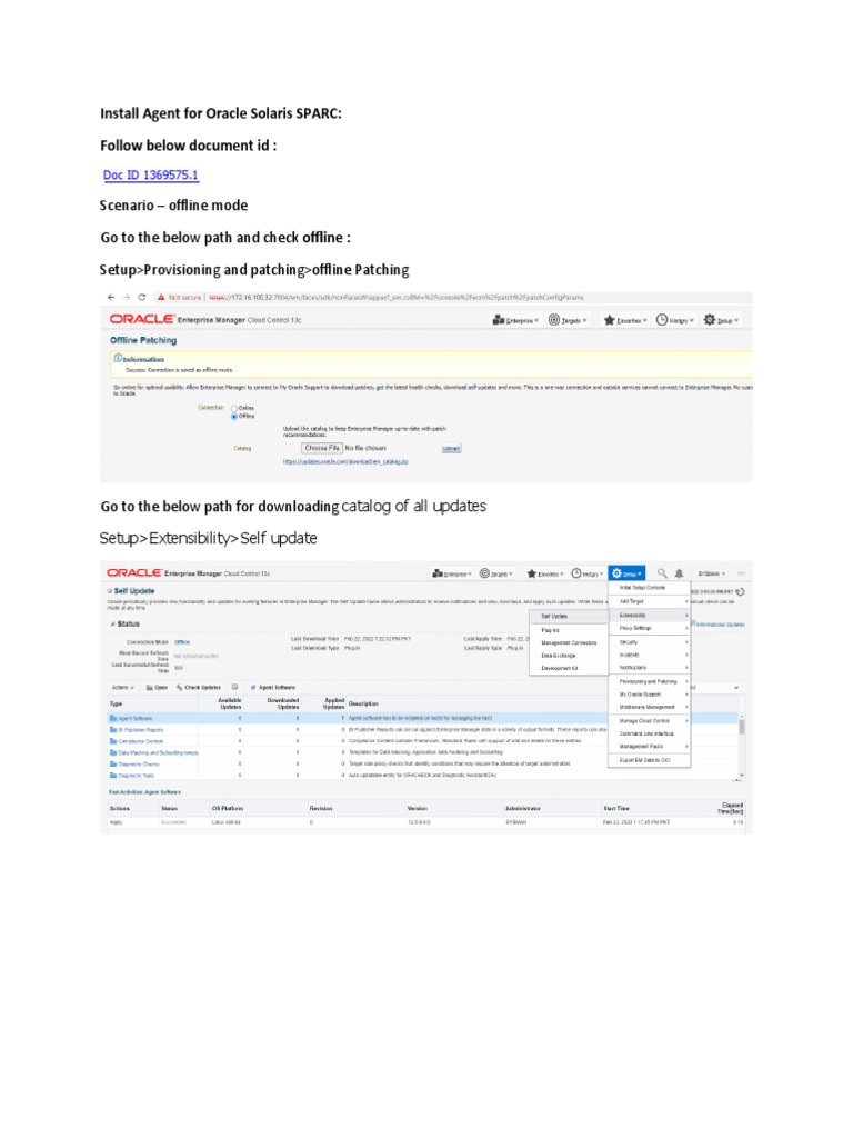 Agent For Solaris | PDF
