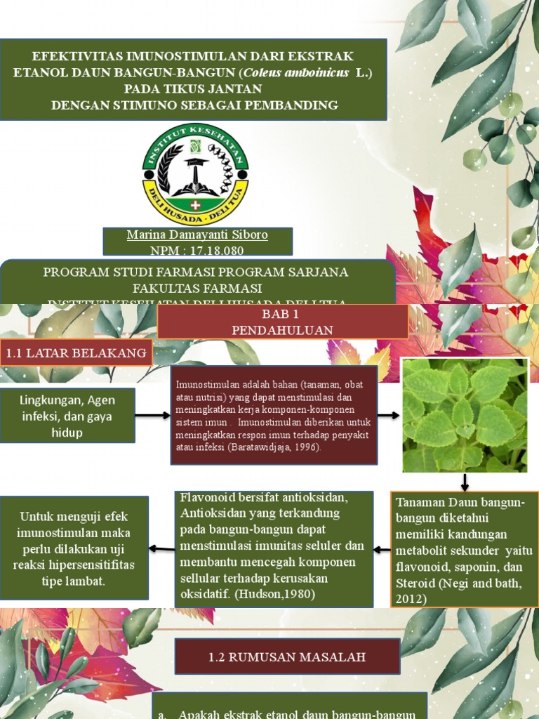 Efektivitas Imunostimulan Daun Bangun-Bangun | PDF | Sains & Matematika
