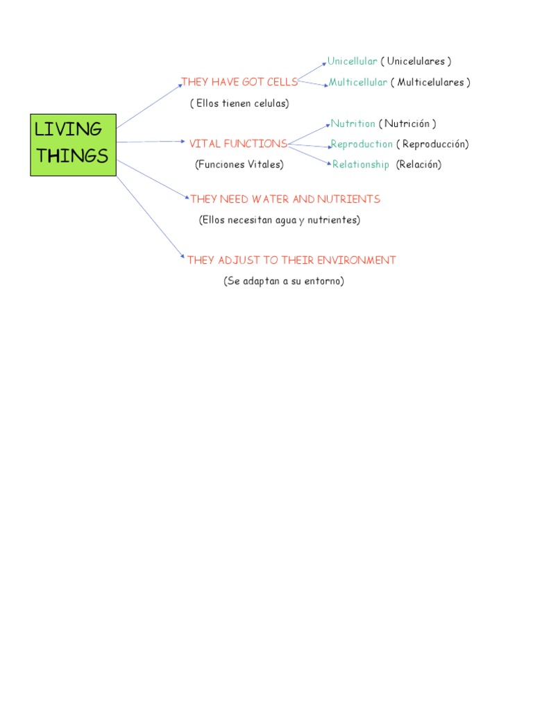 Esquema Living Things | PDF
